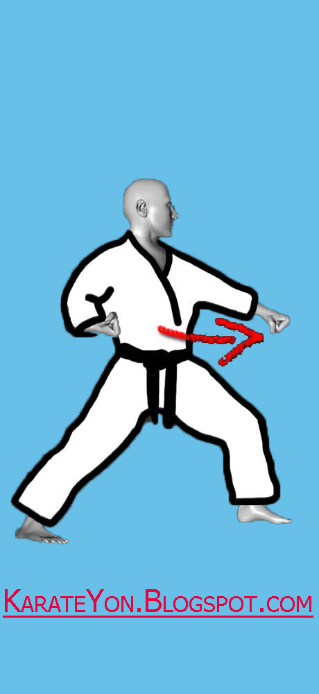 TECHNIQUES GOJU RYU|KarateYon