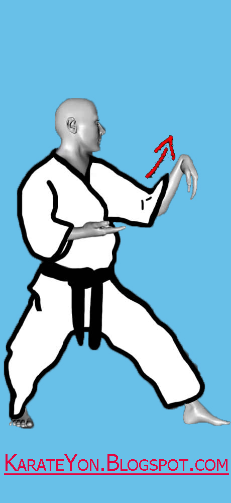 TECHNIQUES GOJU RYU|KarateYon