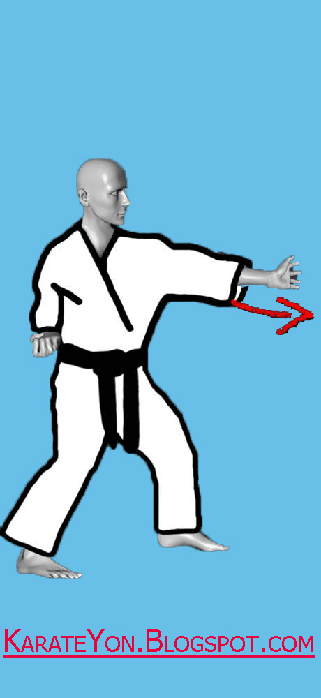 TECHNIQUES GOJU RYU|KarateYon