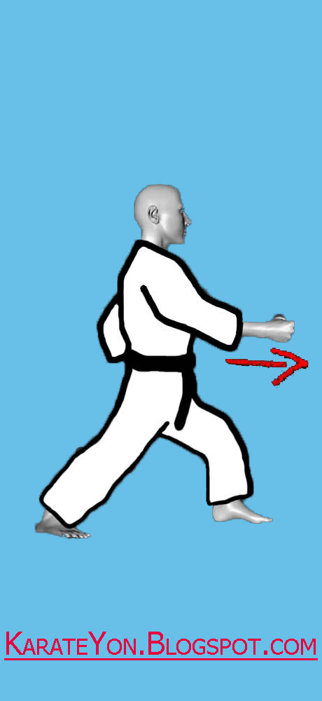 TECHNIQUES GOJU RYU|KarateYon