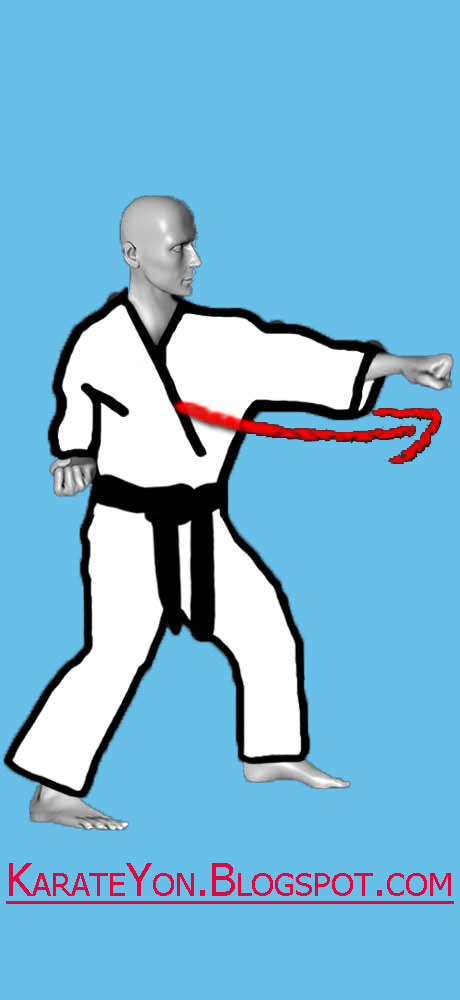 TECHNIQUES GOJU RYU|KarateYon