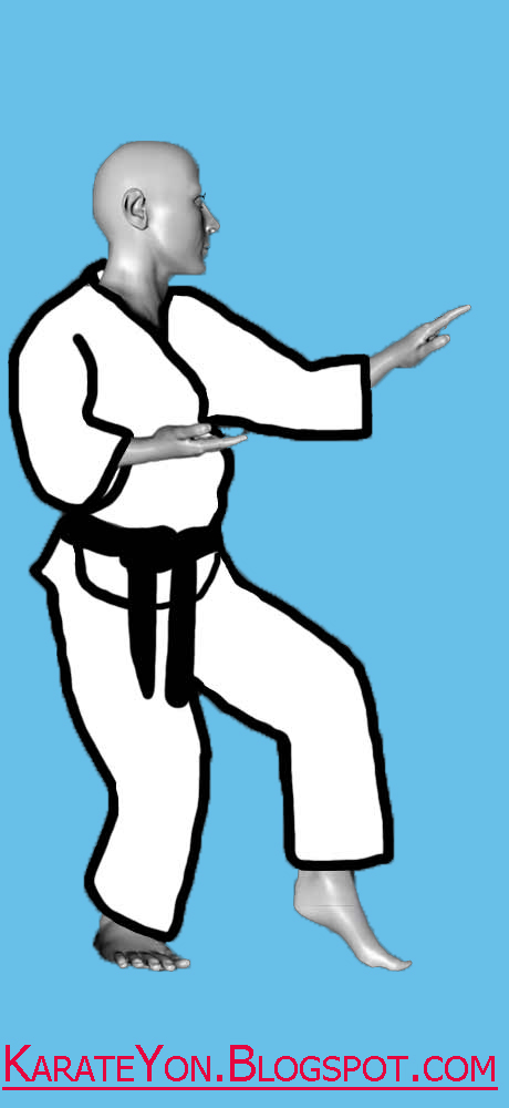 TECHNIQUES GOJU RYU|KarateYon