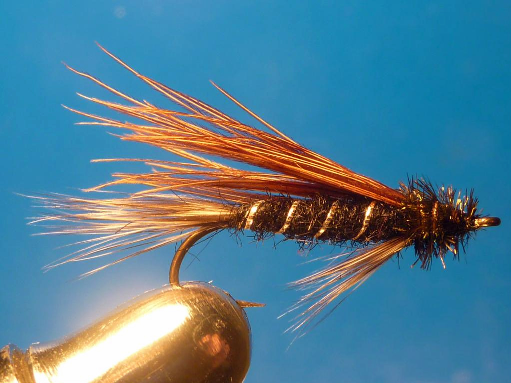 Western-Fly: Doc Spratley