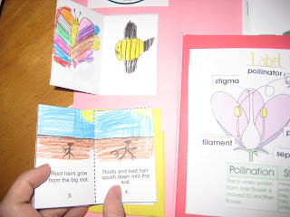 My Crazy Life of Homeschooling: Flower Lapbook