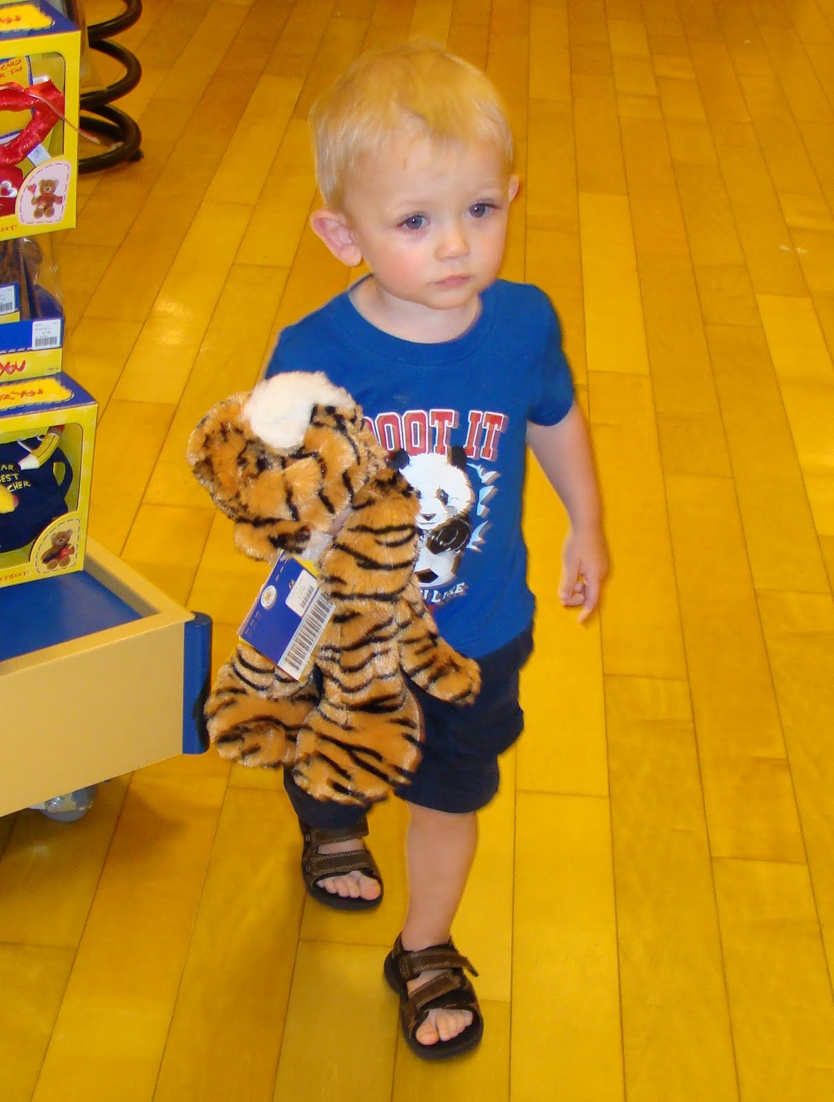 The A-Priori Mommy: Build A Bear ... er Tiger!
