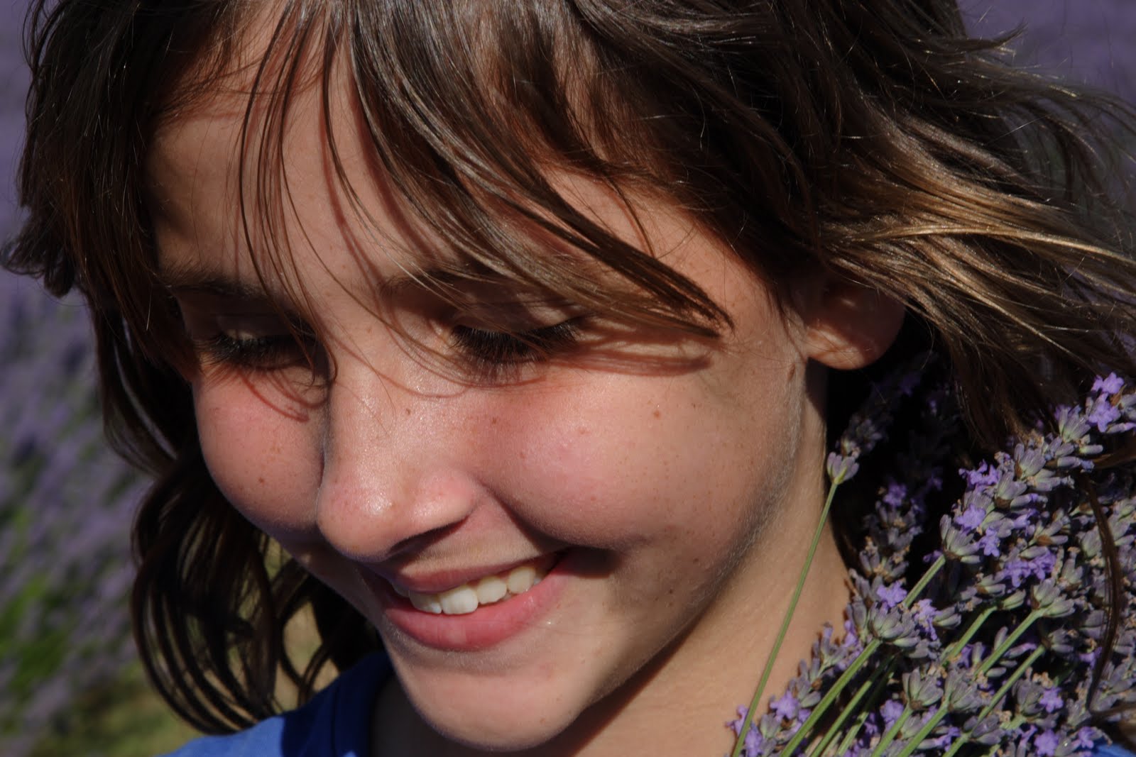 Nelda Mays Photography, Inc.: Lavender Valley, Hood River, Oregon