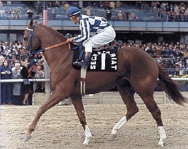 all about animals: Secretariat