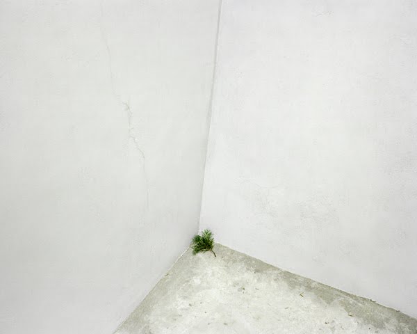 PYTR 75: Eric Perriard