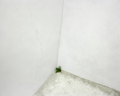 PYTR 75: Eric Perriard