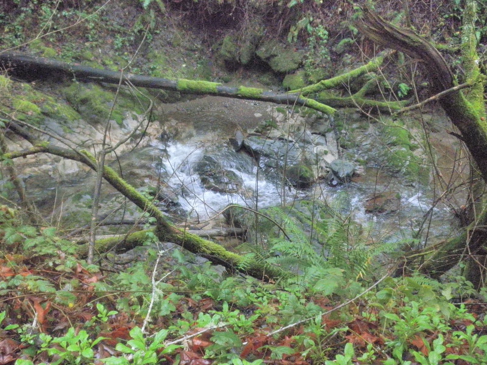 I'm Going Outside: Barnabe Peak, Jan 2011