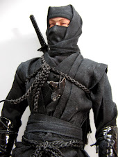 MARTIAL ART PRINCIPLES: Ninja: Principle of Stealth Fighter