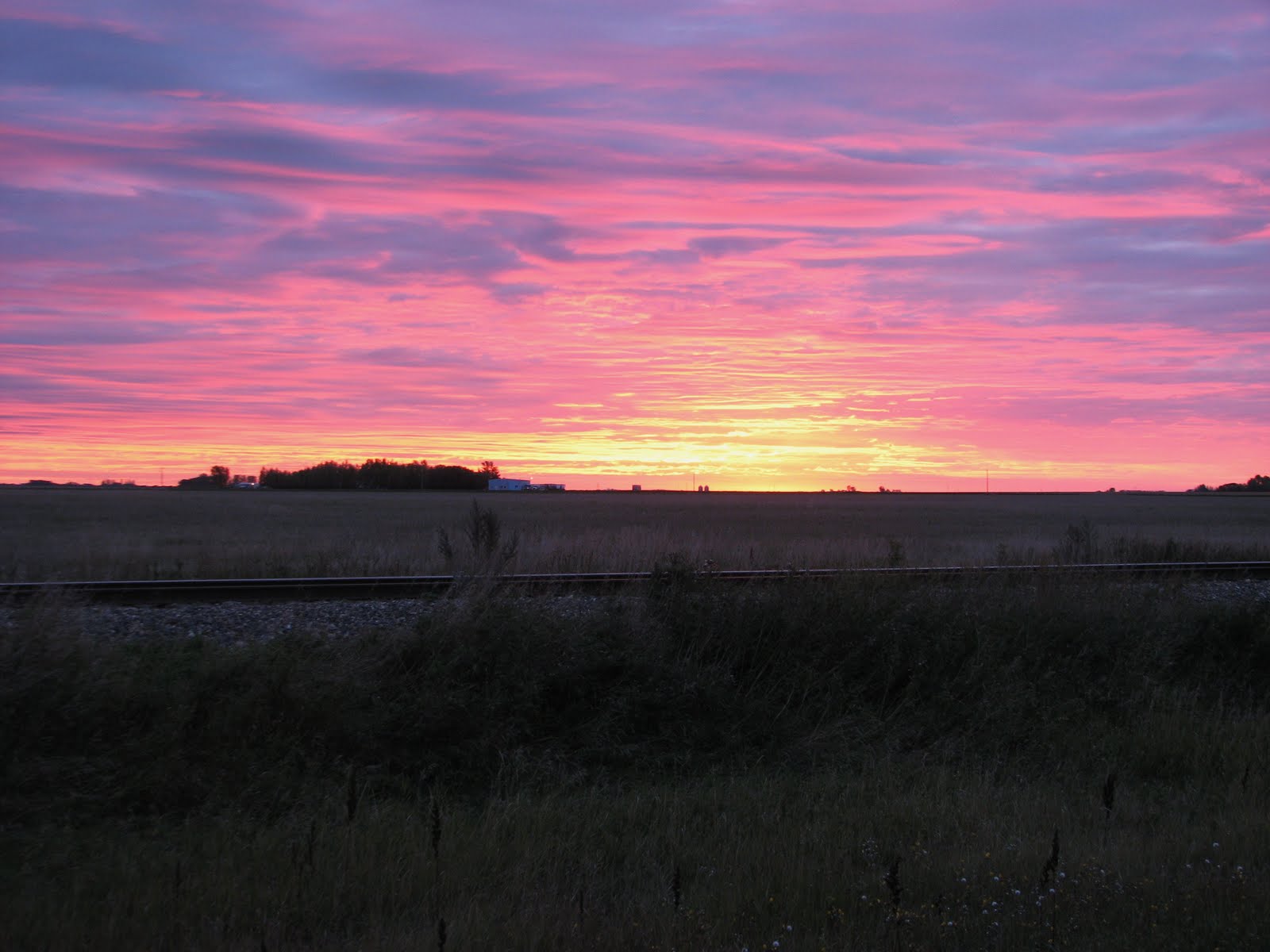 Still Life With Birder: Prairie Sunrise