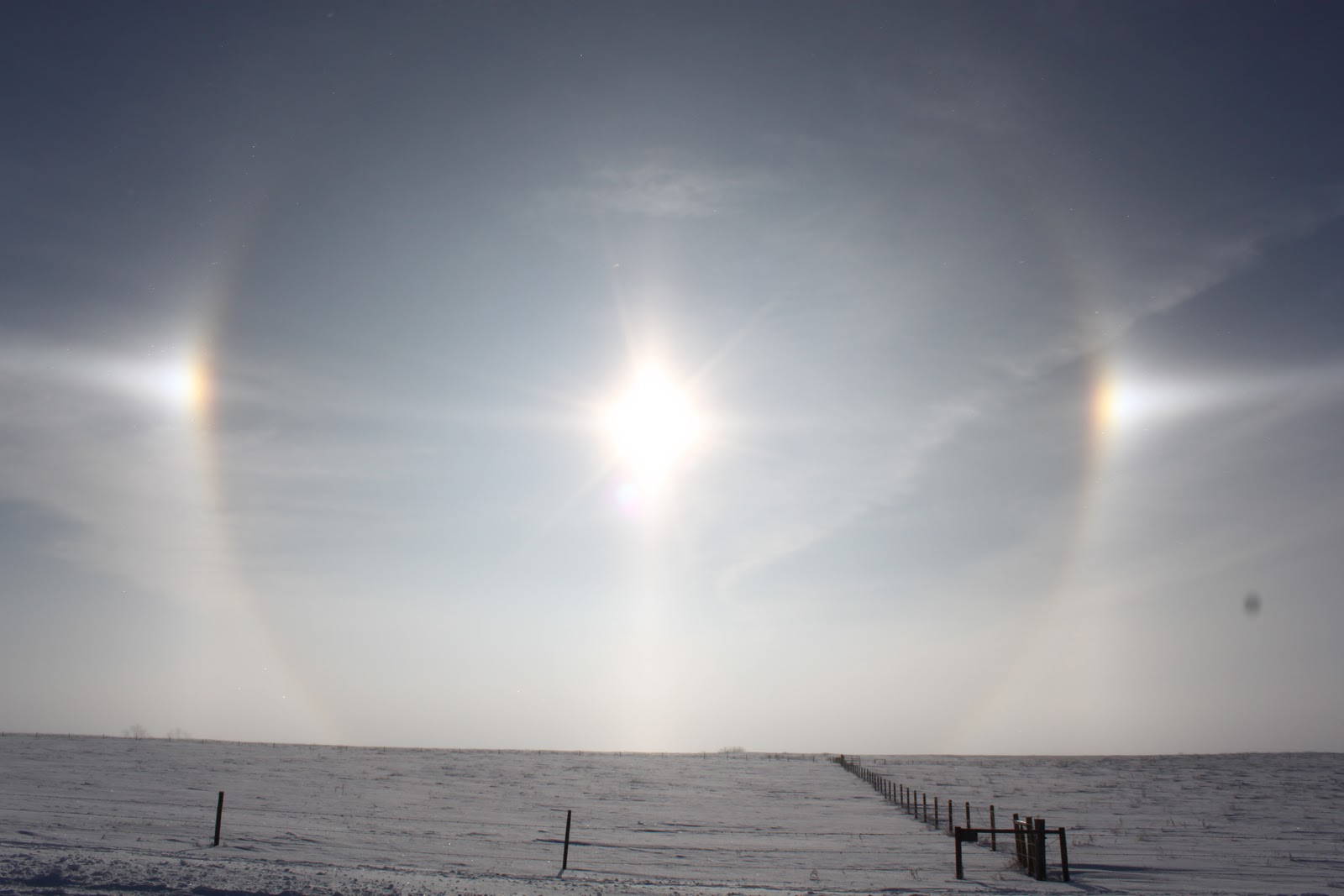 Still Life With Birder: Sun Dogs