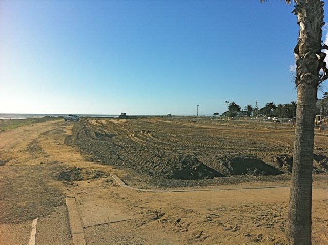 Ventura River Ecosystem: Surfers' Point Cobble Berm