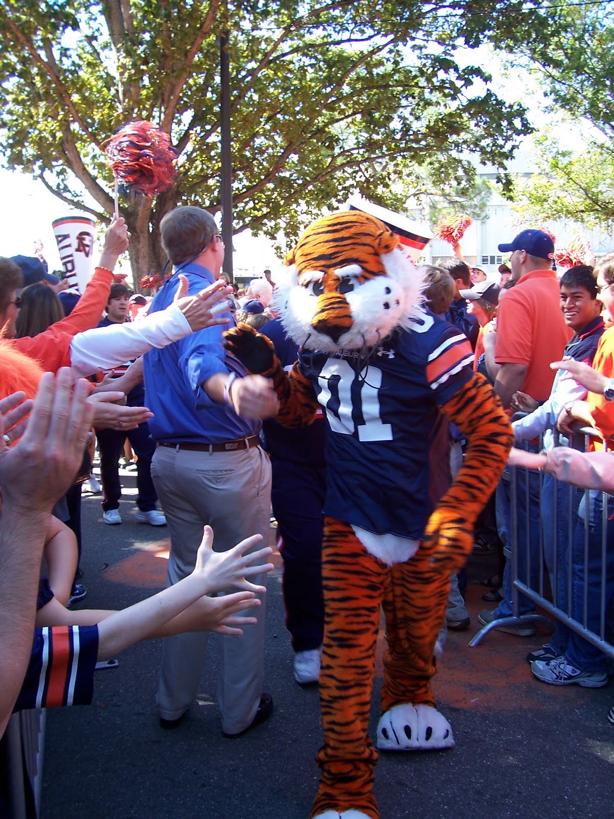 crenshawsinthemountains: Aubie-Auburn University's Mascot