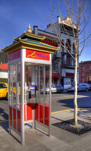 Victoria Daily Photo: February 2009