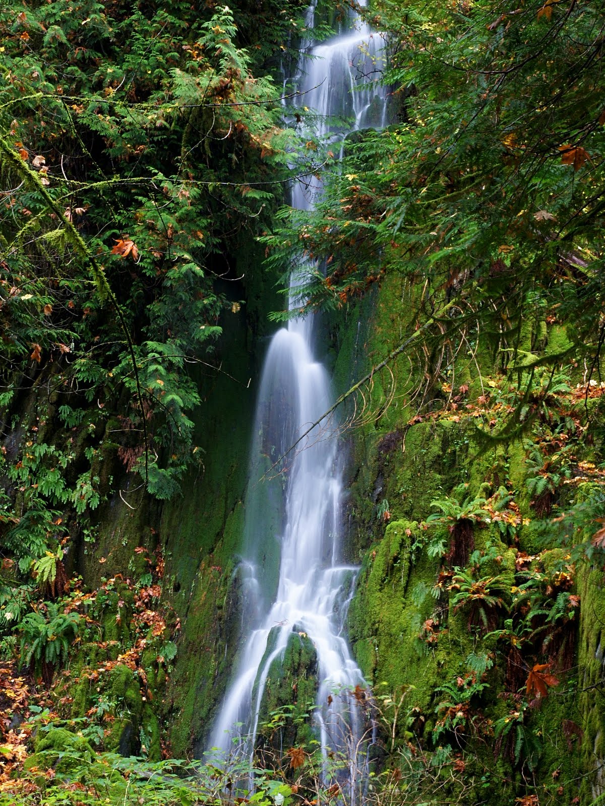 Victoria Daily Photo: Water in Motion
