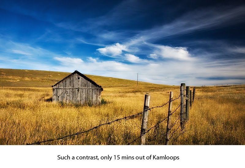 Thursday September 2, Monck Provincial Park, Nicola Lake, BC