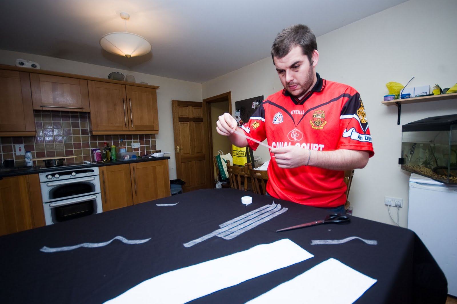 The Project 366 Things: Thing 154 Make A Giant Flag