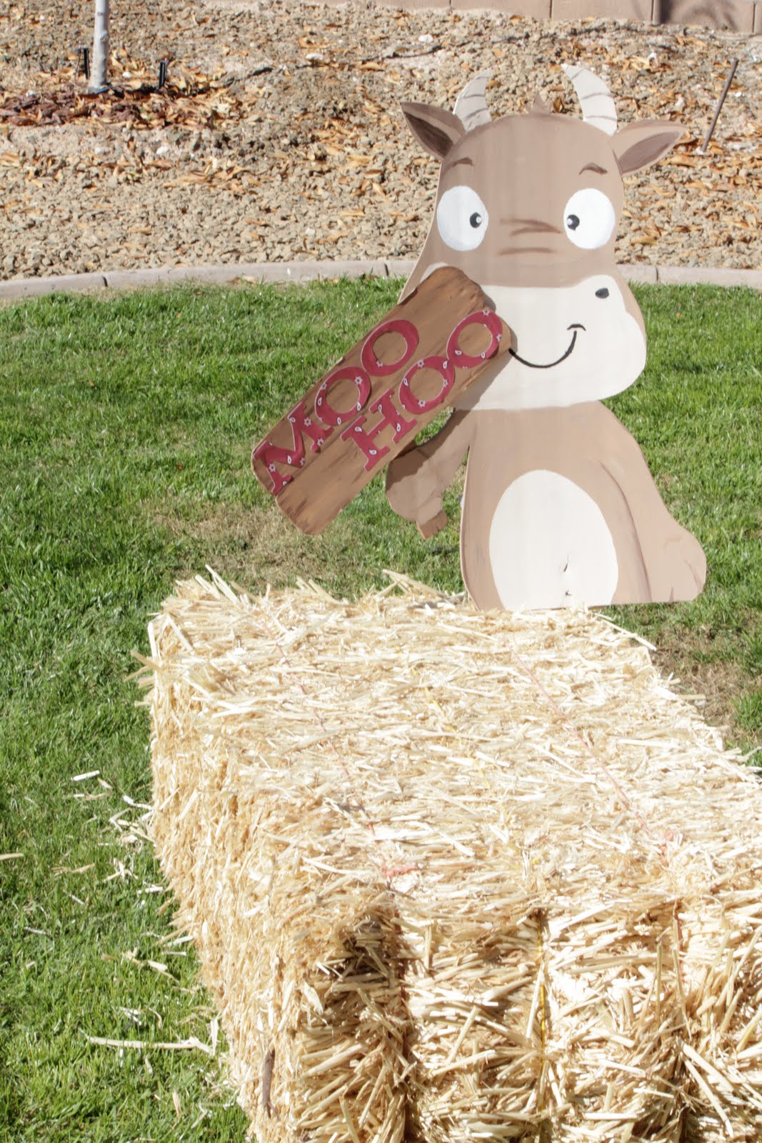 Events by Tiffany and Cristen: Farm 1st Birthday Party