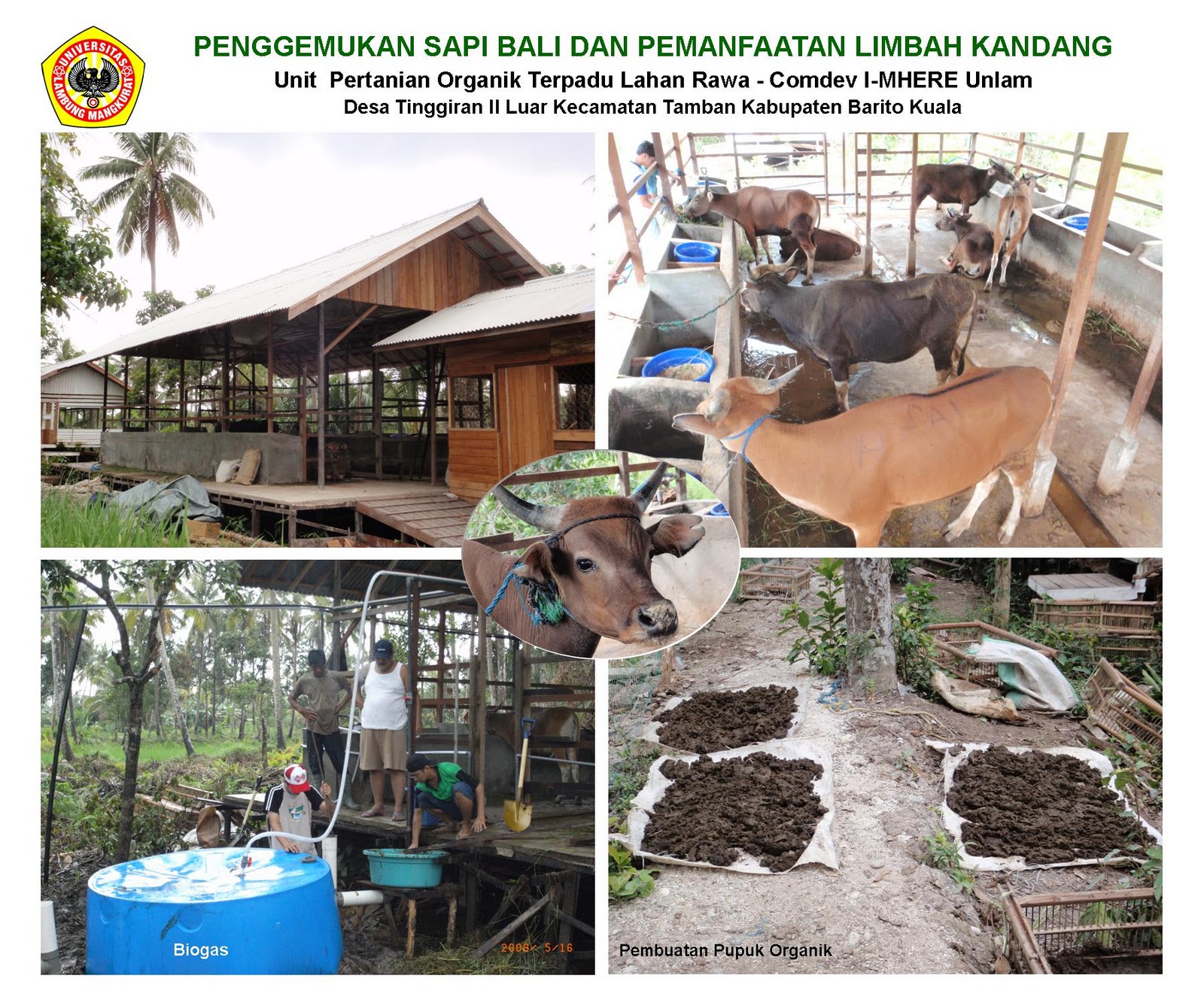 PERTANIAN ORGANIK TERPADU LAHAN RAWA DI KALIMANTAN SELATAN