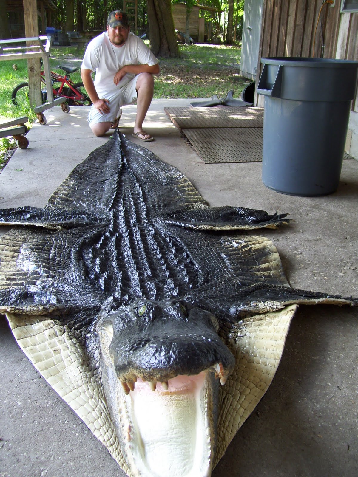 Cordray's: Jordan Patrick's big bull alligator made an awesome rug!