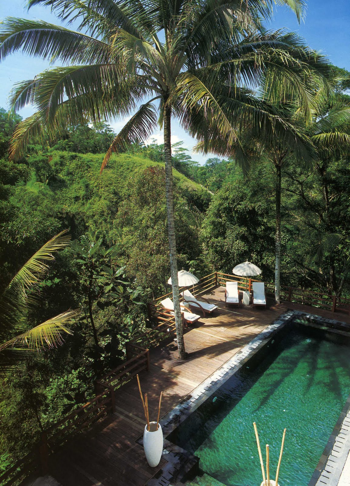 HauteZone: Bali High