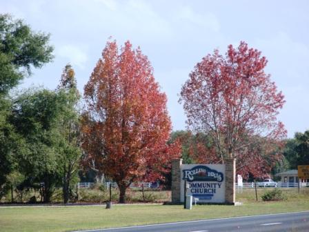 Earth Shattering Gardening: Florida Fall Foliage