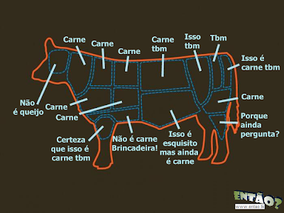 Então: Anatomia da vaca..