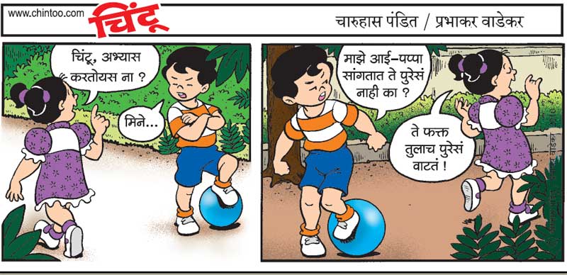 Chintoo: Chintoo - chintu 547 Study