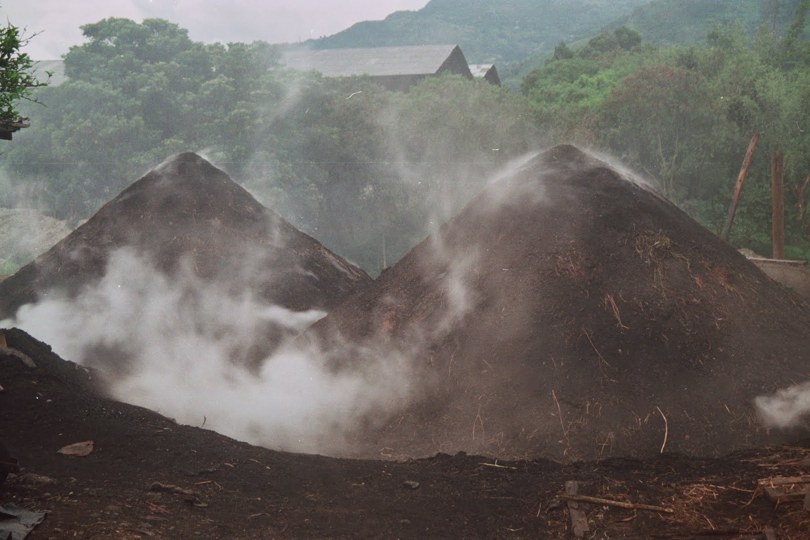 INTERNATIONAL CHARCOAL TRADING CORP/EL CARBONERITO: OUR CHARCOAL