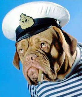 Love dogs and interesting - dogs knowledge - education about dog