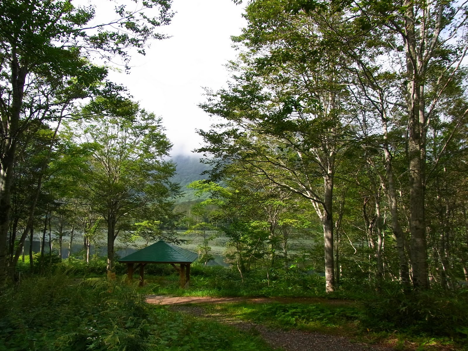 Japan: Renge Onsen 蓮華温泉