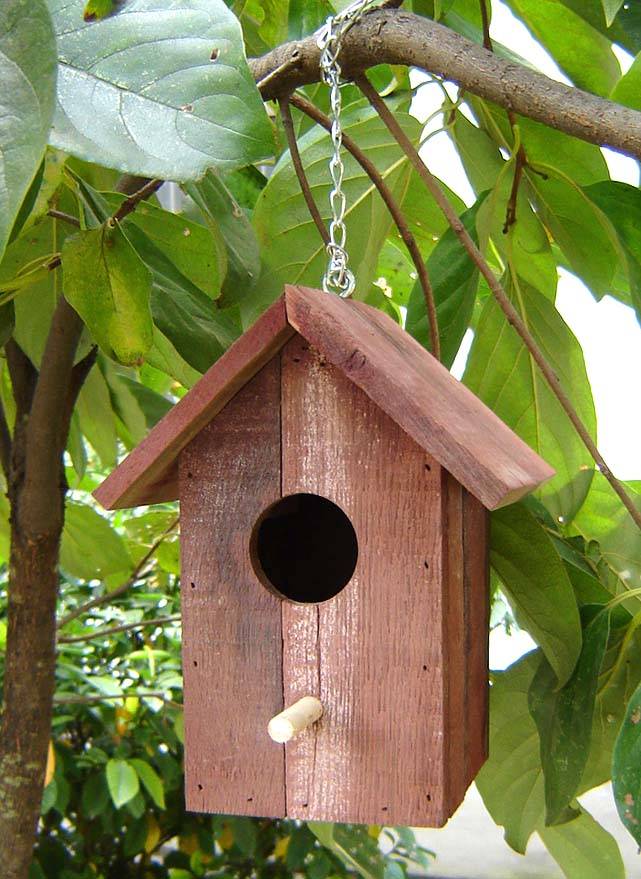 Woodwork Wood Bird Houses PDF Plans