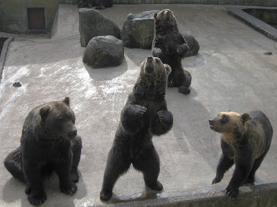 Kimi's travels: Hokkaido Part I, Ice Museum and Higuma Bears