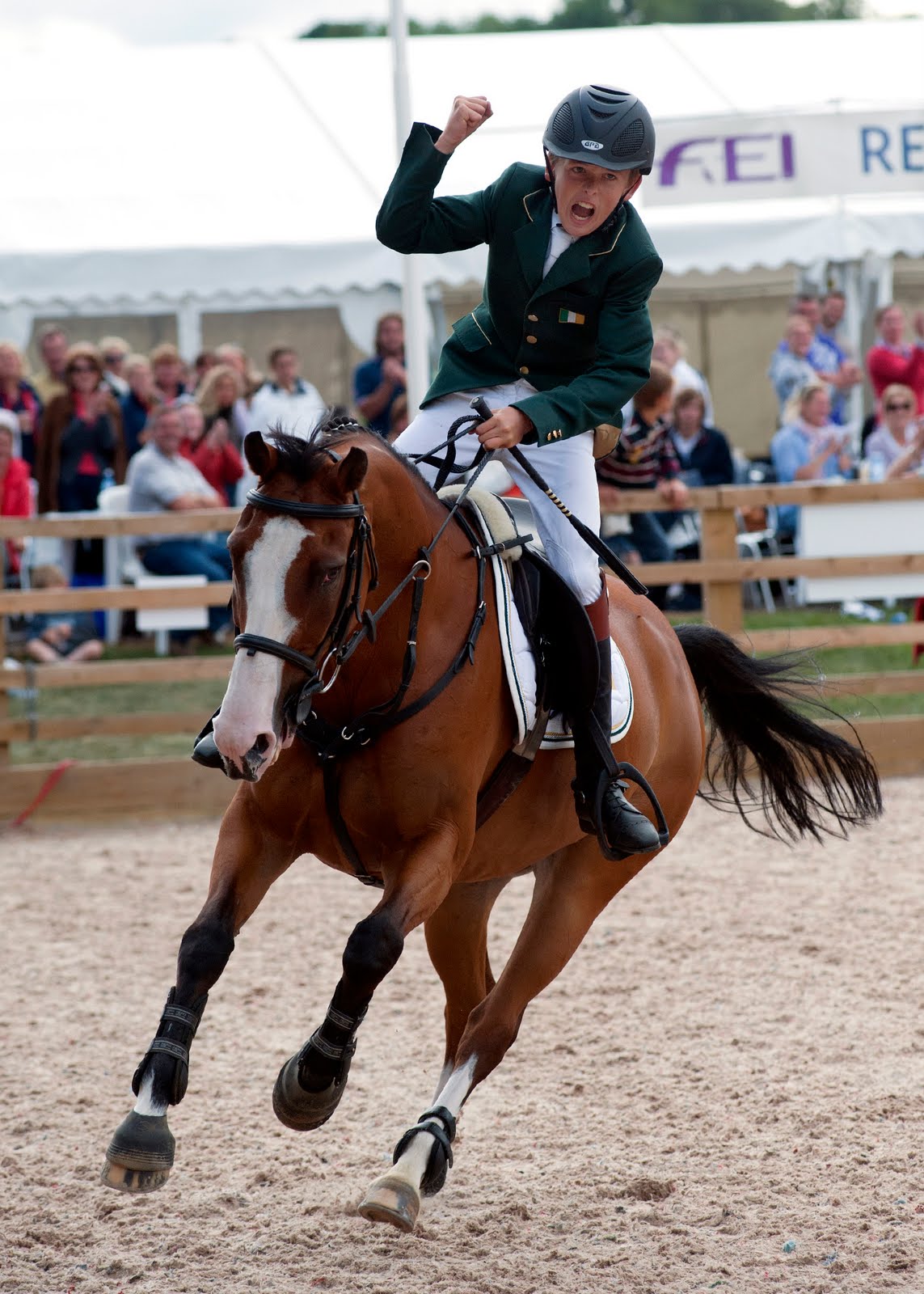 FEI Pony European Championships 2010