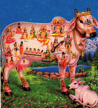 Greatness Of COW and why Hindus worship Cow as Go Mata- Mother – My ...