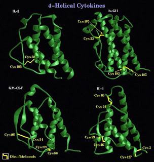 Minden ami pszichológia és táplálkozás: Mi a citokin?