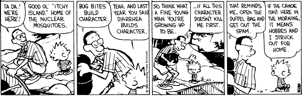 Being cold builds character... : r/calvinandhobbes