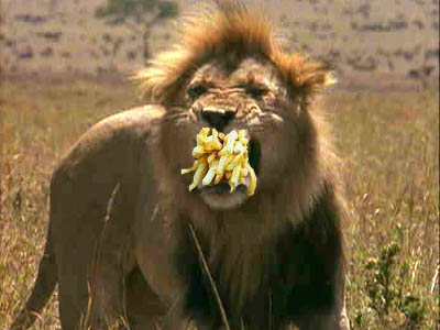 Vermilion Lions Club: French Fries March On!