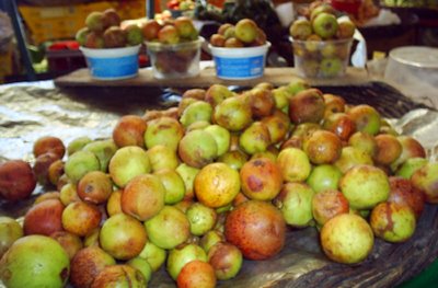 ITALIANO ... BRASILEIRO: Mangaba