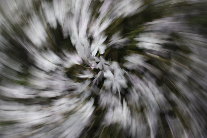 North West Photo Man: Swirl Effect