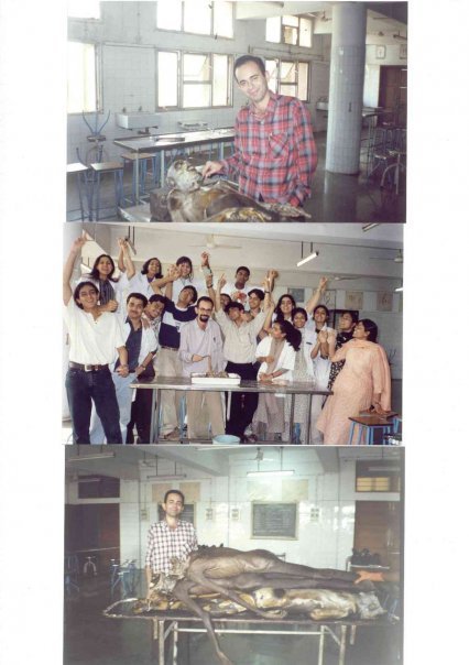 Medical Odyssey: A glimpse into our Anatomy Dissection Hall