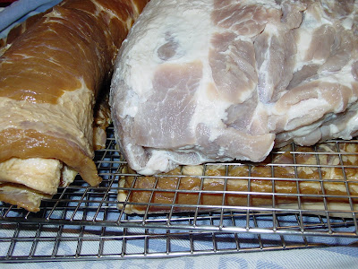 MAD MEAT GENIUS: PELLICLE