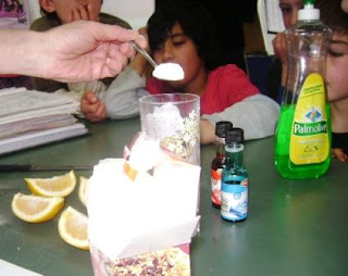 Room 4 Lawrence Area School: Kitchen Chemistry - Lemon Fizz Experiment
