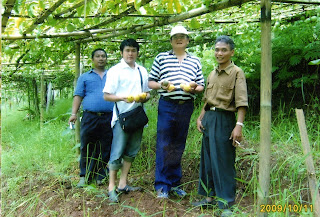 Bubur Buah Markisa/ Passion fruit Pulp Center : Product