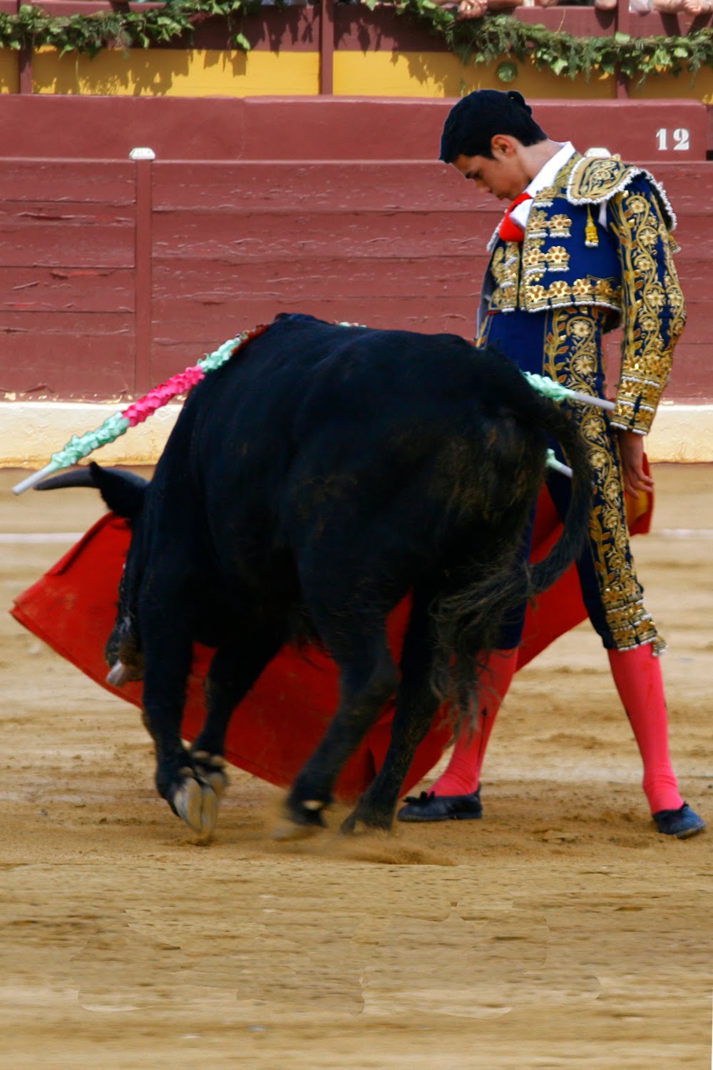 feriataurina.es: EL ALUMNO DE LA ESCUELA TAURINA DE MURCIA ANTONIO ...