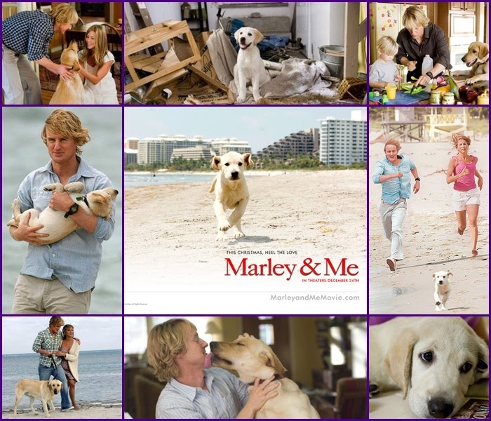 Carlos Costa: Marley e Eu