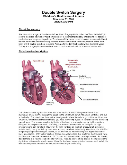 Double Switch Surgery - Part 1 : ~~~~~~ Abigail Maja