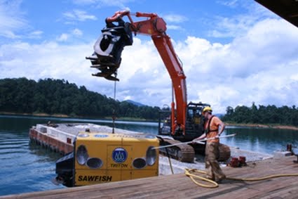 Bob-Basic: How are trees cut underwater?